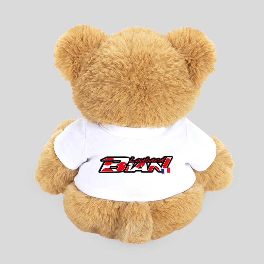 Bian 2024 Teddy Bear – Fan Merch